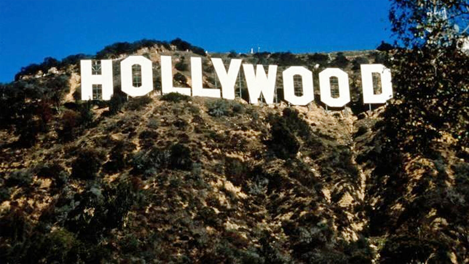 All you need to know about the Hollywood sign