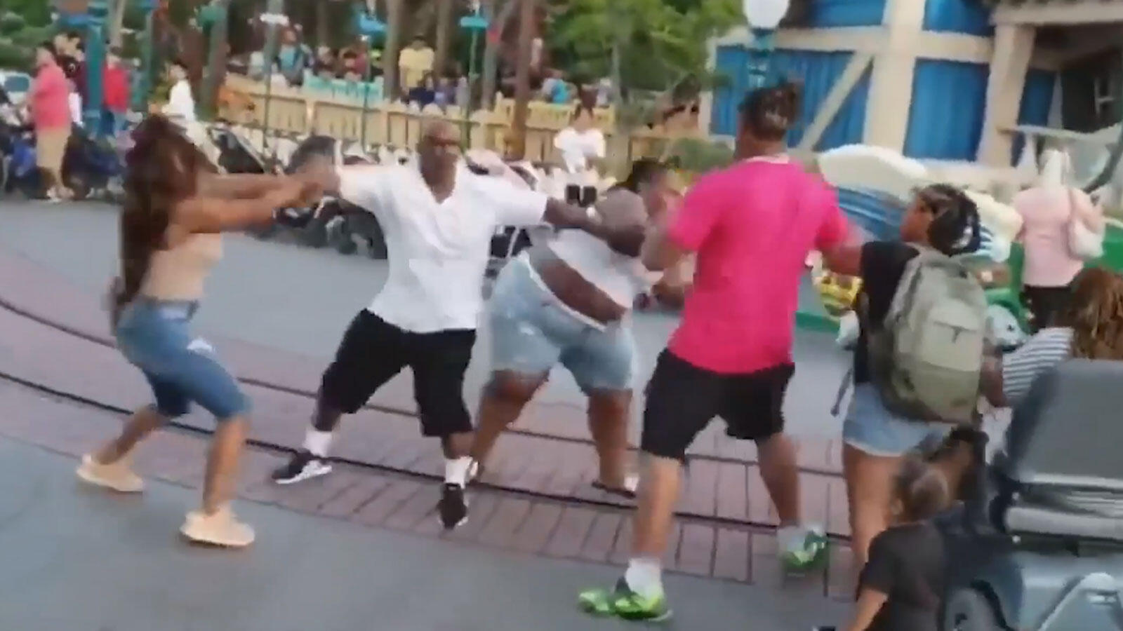 Families fight at Disneyland, video goes viral
