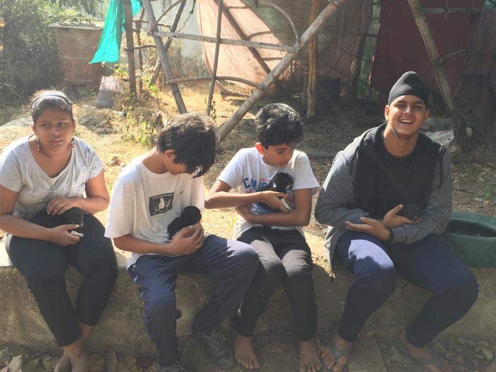 Meet the kids who learn without ever going to school - Times of India