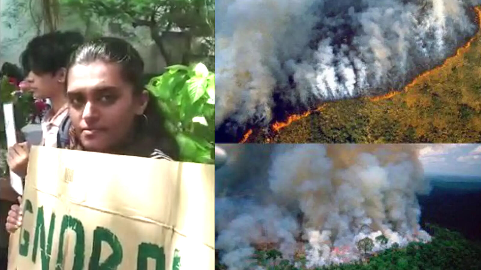 Amazon rainforest fire: Mumbaikars protest outside Brazilian embassy