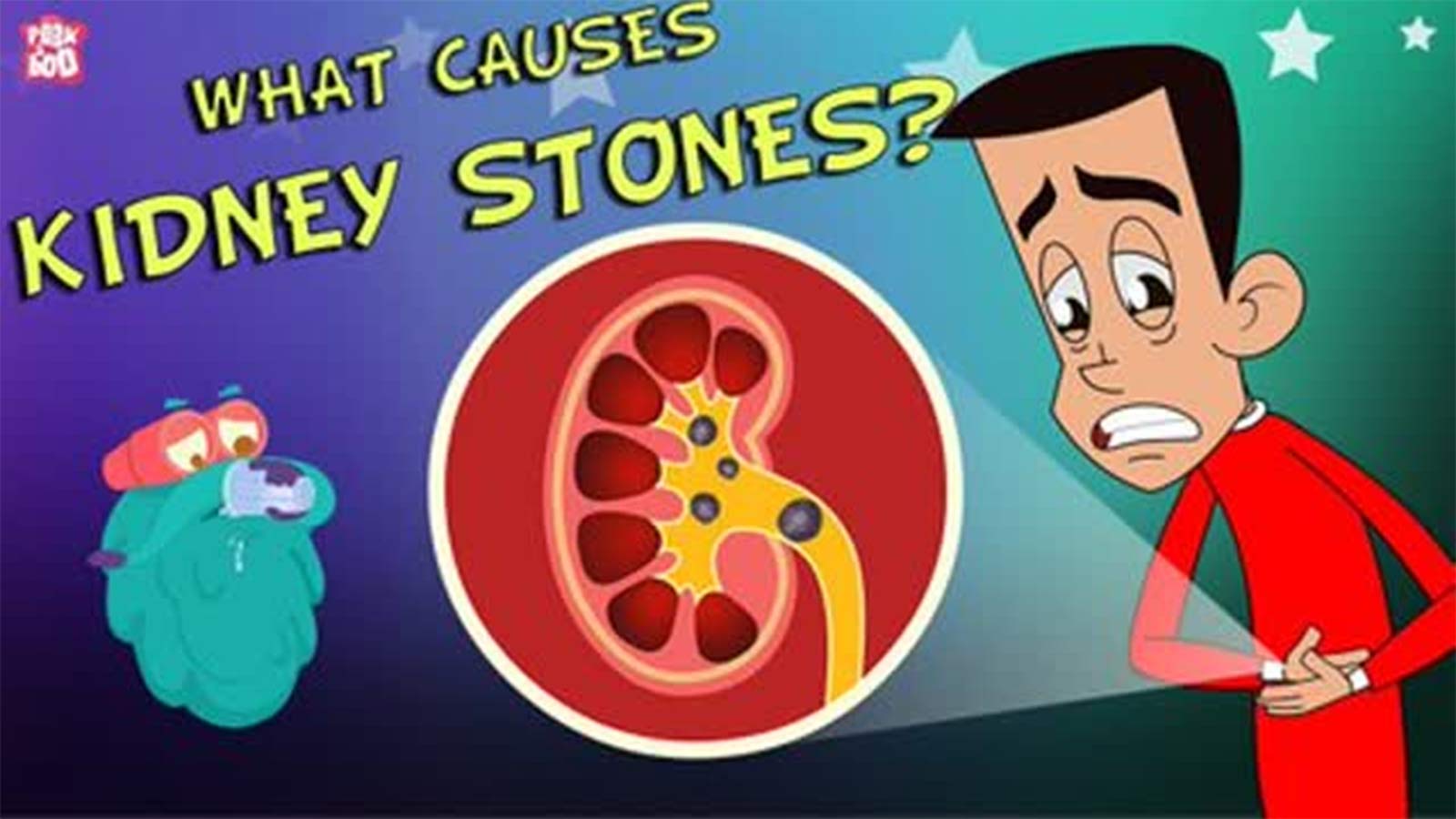 Children English Nursery Story 'What Causes Kidney Stones? | The Dr ...