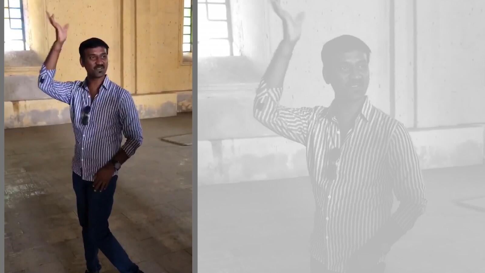 Ever seen a tour guide like this one?