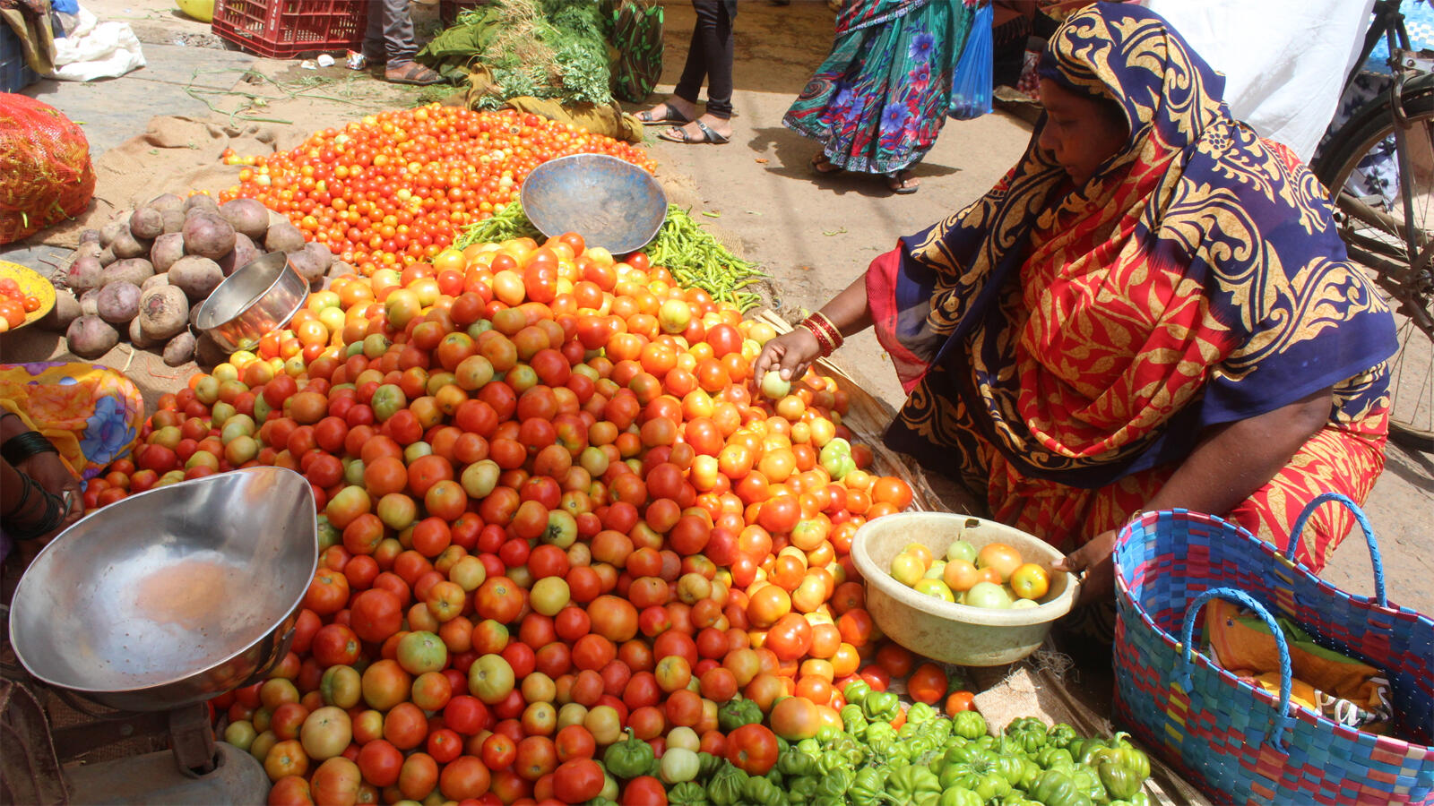 After onion, tomato prices soar in Delhi-NCR, Mumbai