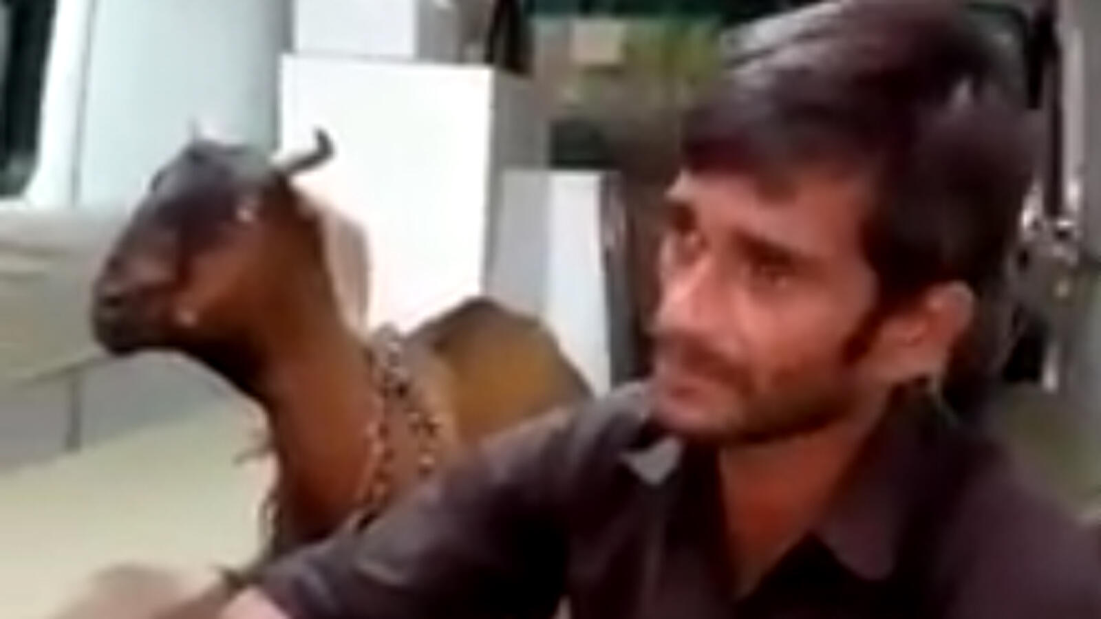 Man calls 108 ambulance service for injured goat in UP's Kasganj, video ...
