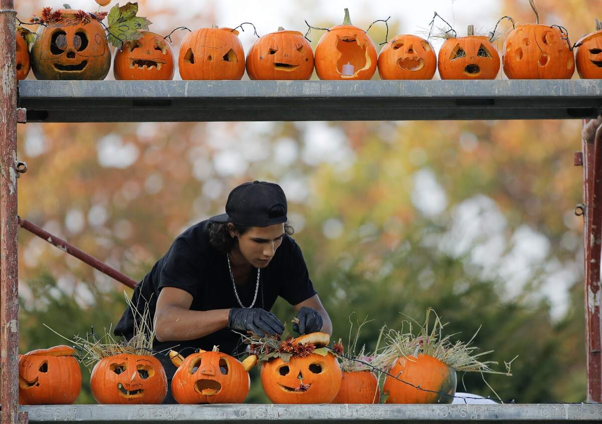 climate change: Here's how you can reuse your Halloween pumpkin ...
