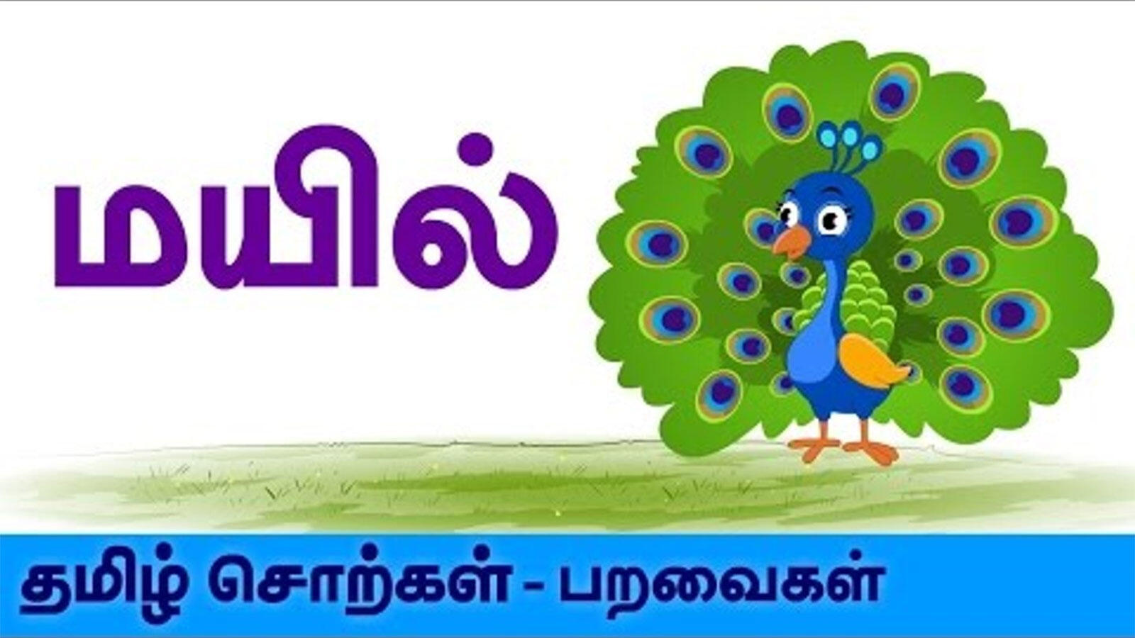 Birds Spelling In Tamil 'மயில்' - Kids Learning Video In Tamil