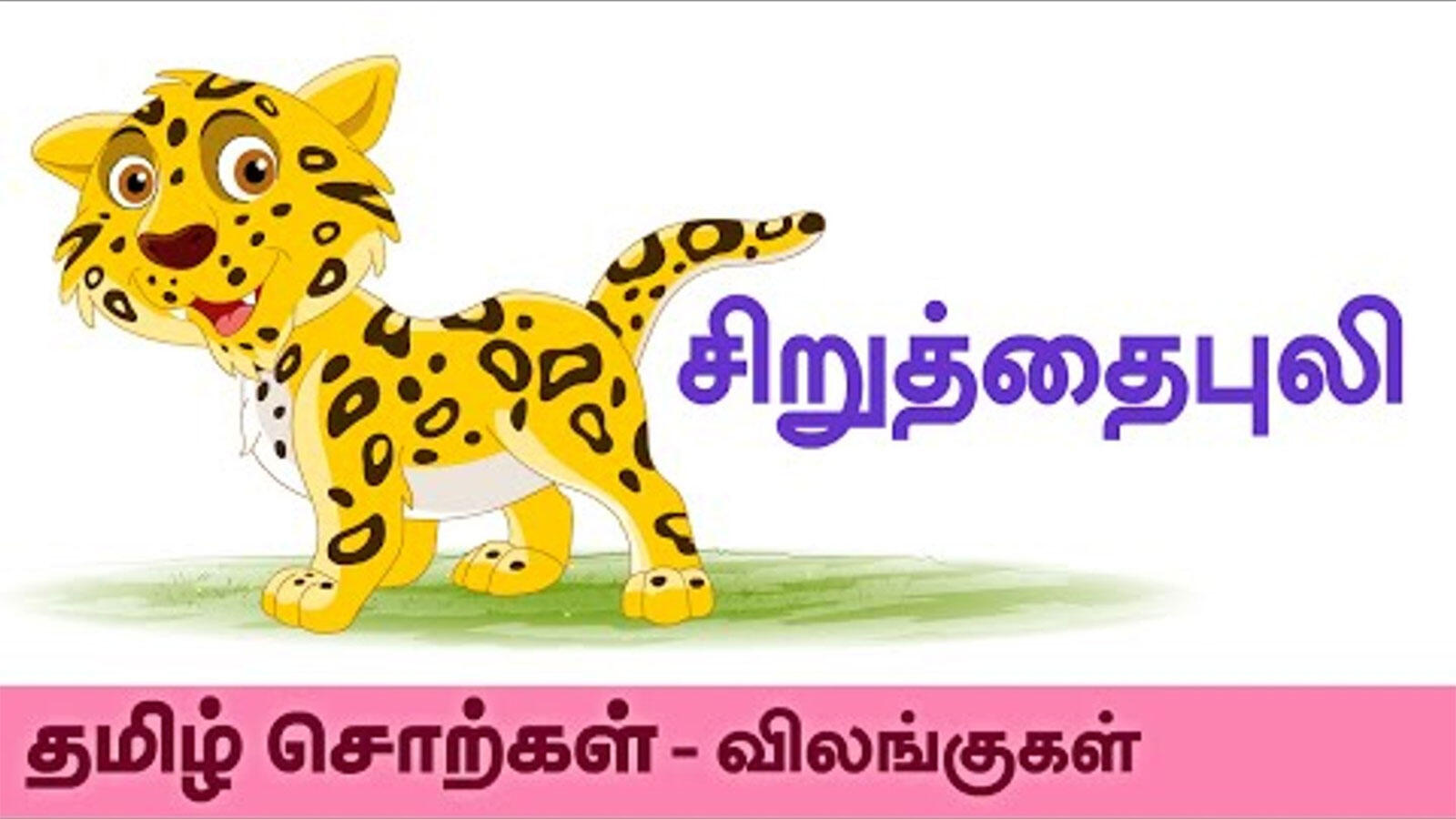 Animals Spelling In Tamil 'சிறுத்தை புலி' - Kids Learning Video In Tamil