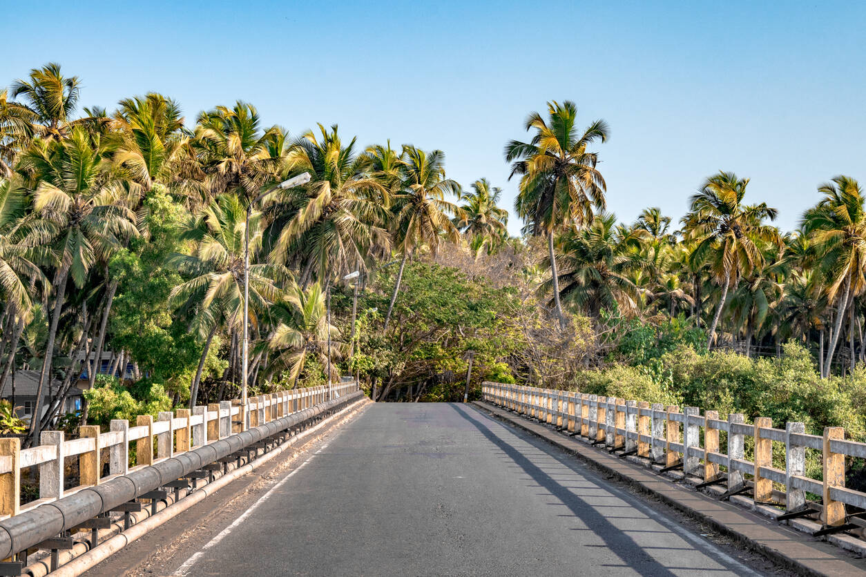 Ayamkadavu: Kerala’s highest bridge inaugurated; to be developed into a ...