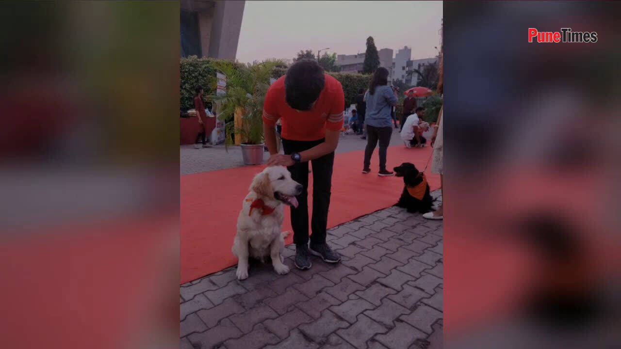 Pet parents enjoy a pawsome event with their pets