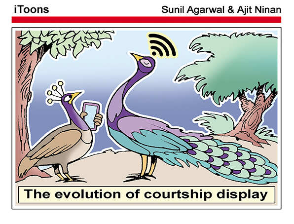 Evolution Of Courtship
