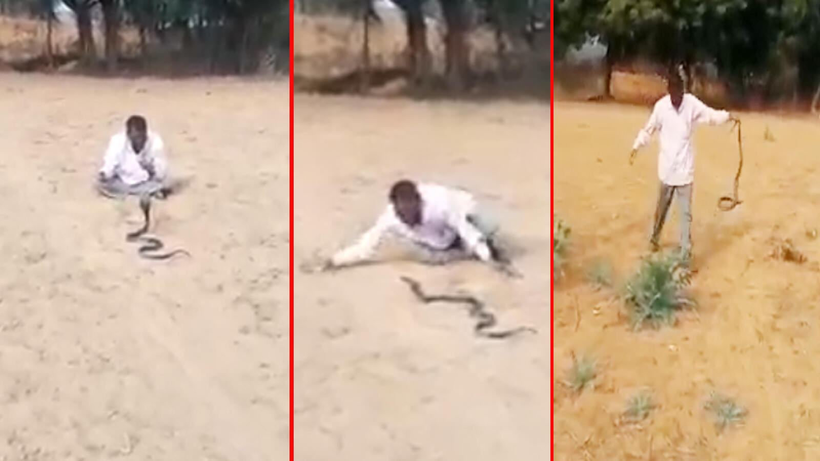 Drunk man plays with snake in open field, video goes viral