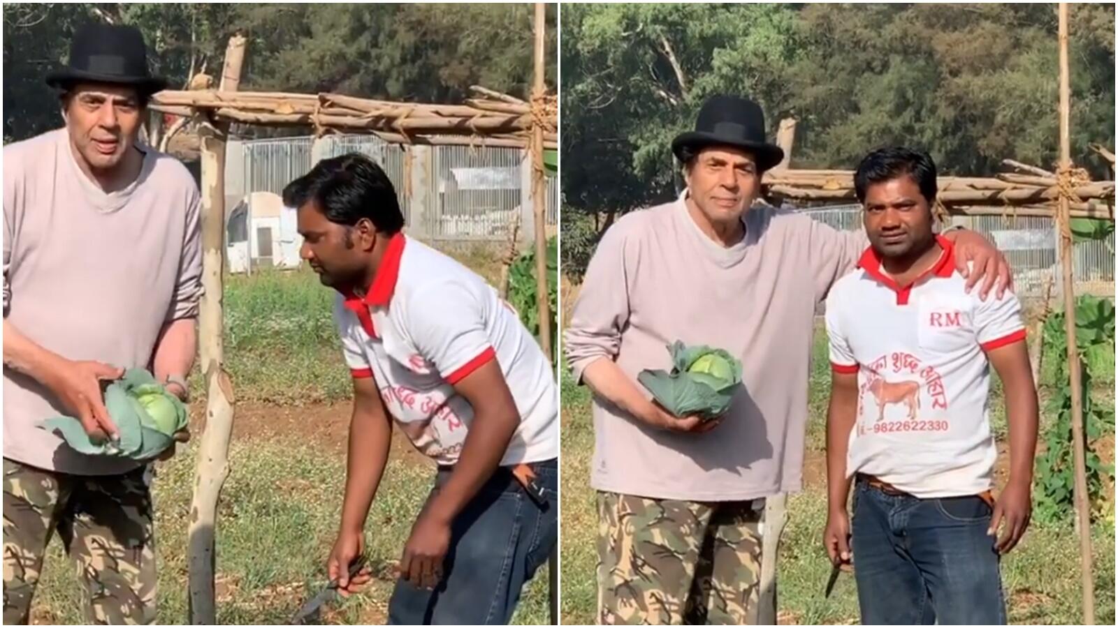Veteran actor Dharmendra tries his hand at farming, introduces fans to ...