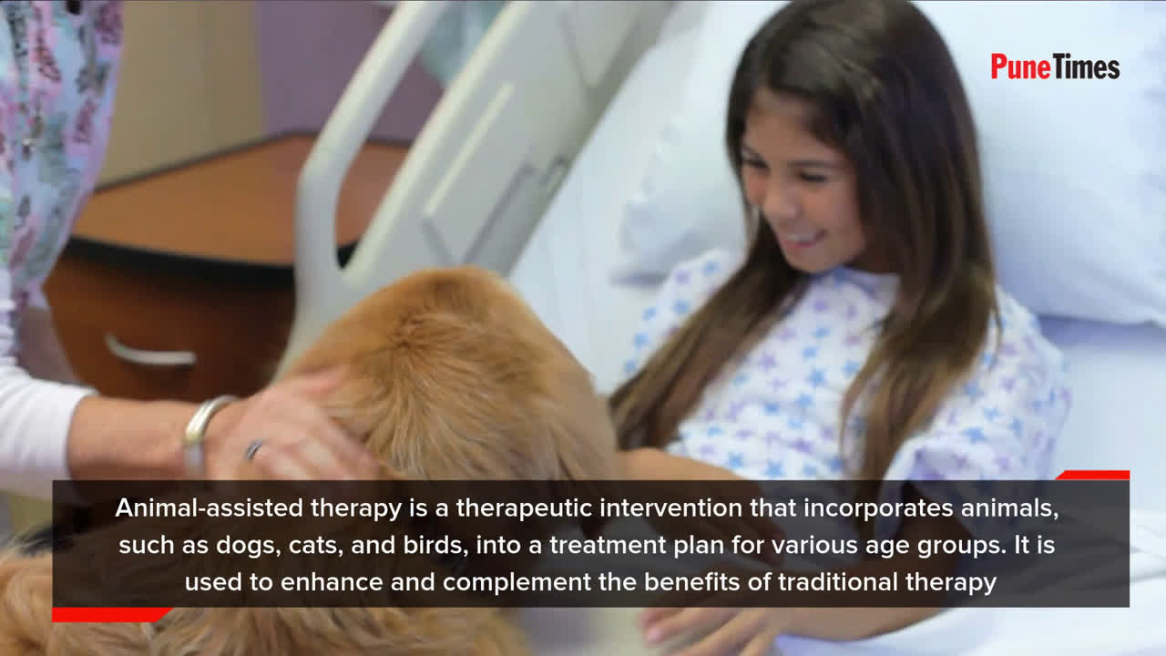 Have you heard of Animal Assisted Therapy?