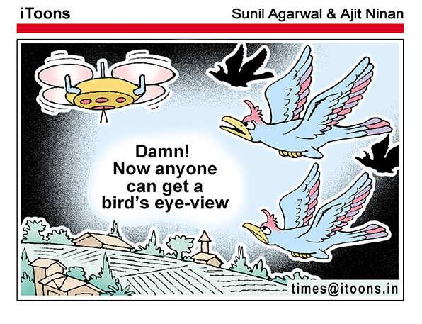 Bird's eye-view