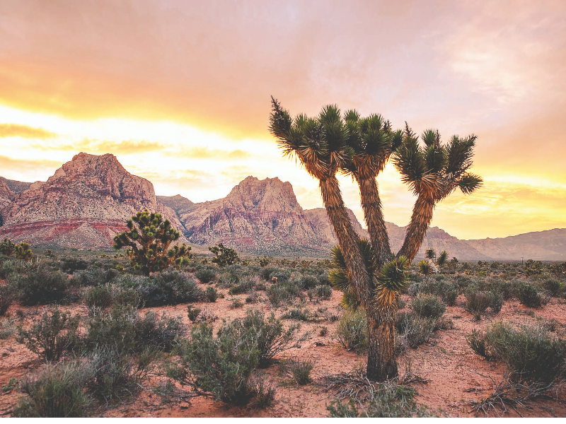 On the road in Nevada - unearthing secrets of the southwest, - Times of ...