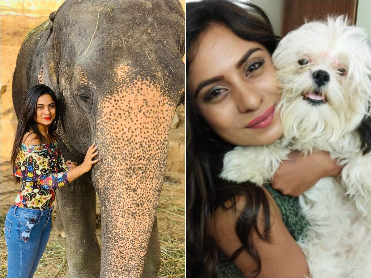 Seven times BB Kannada season 7 fame Deepika Das proved to be an ardent ...