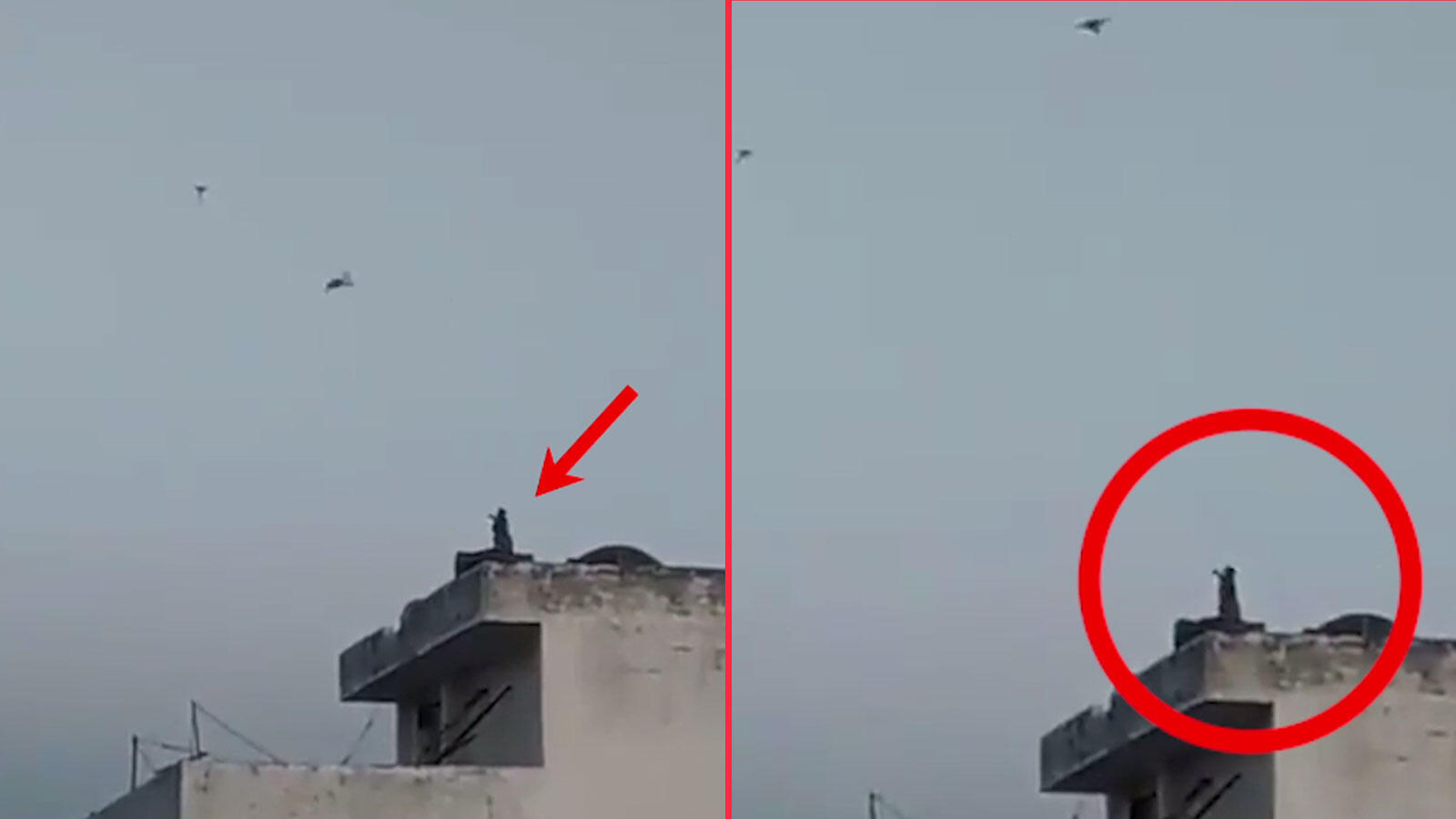 Unbelievable! This monkey can fly a kite