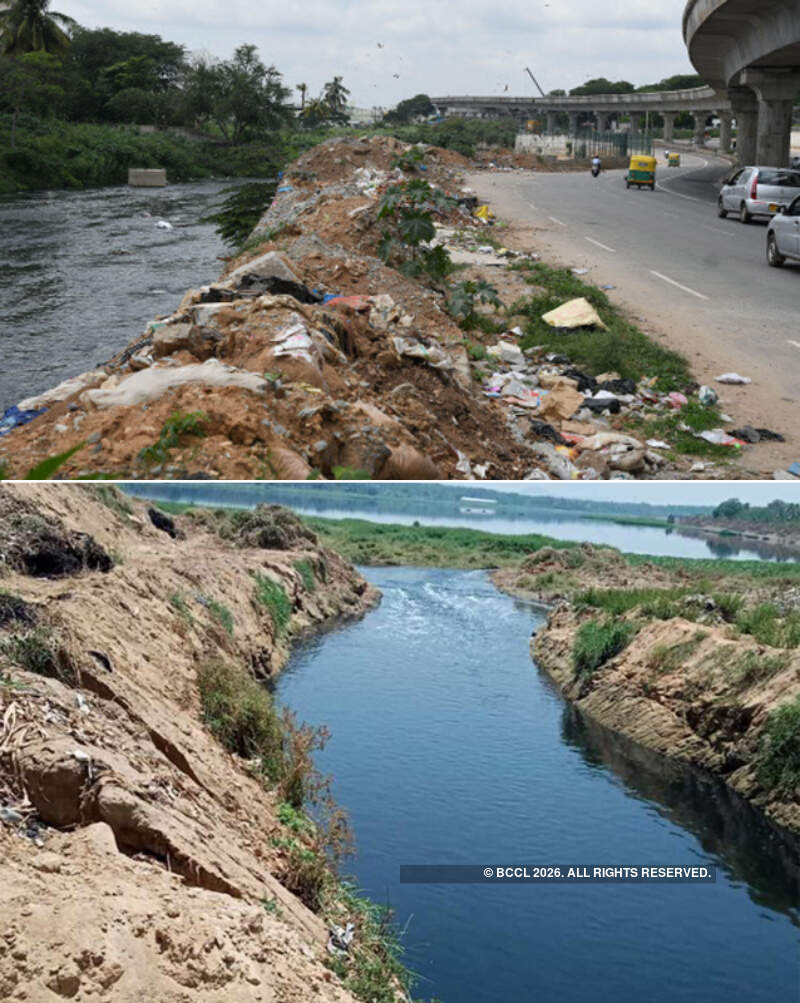 Vrishabhavathi River in Bengaluru - Photogallery