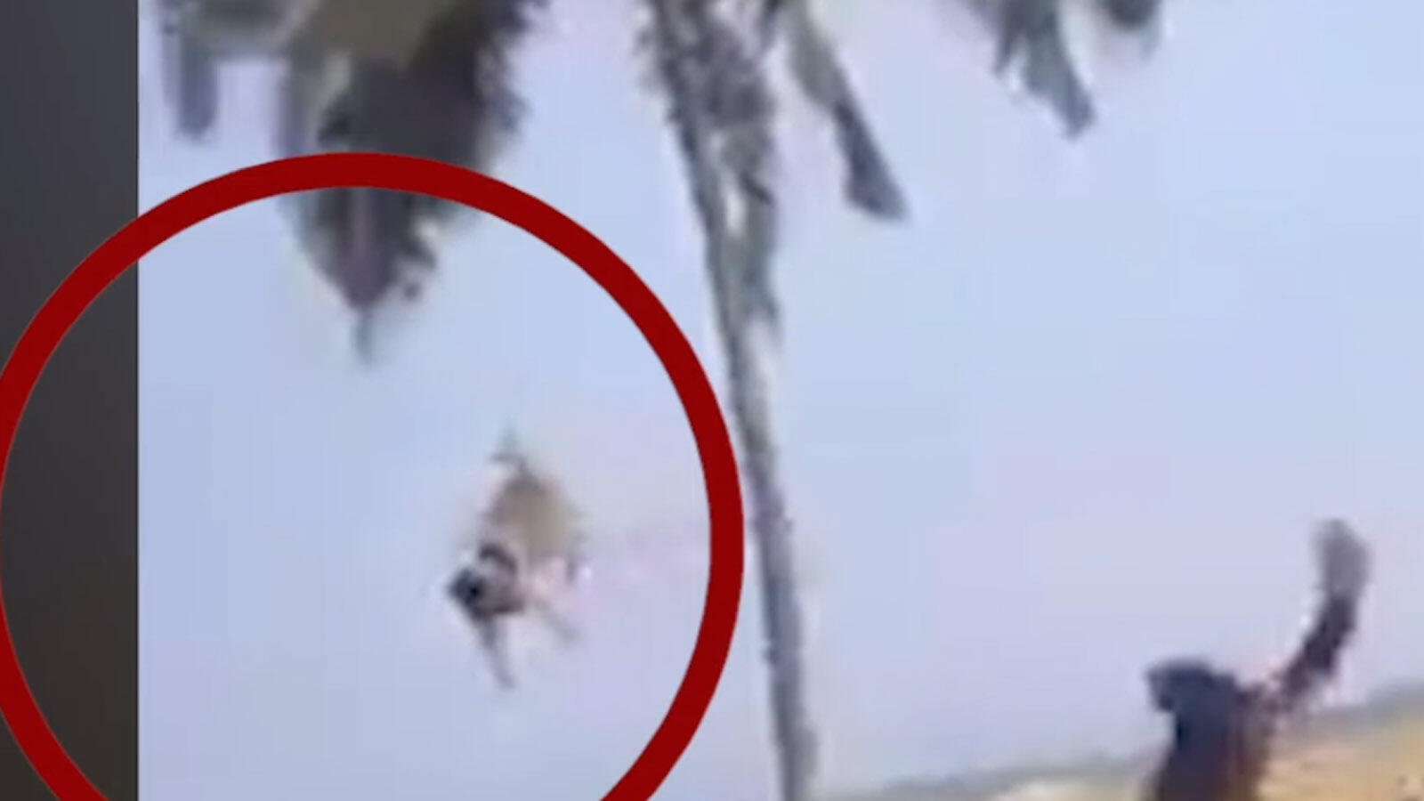 Shocking! Youth throws dog after spinning it around, video goes viral