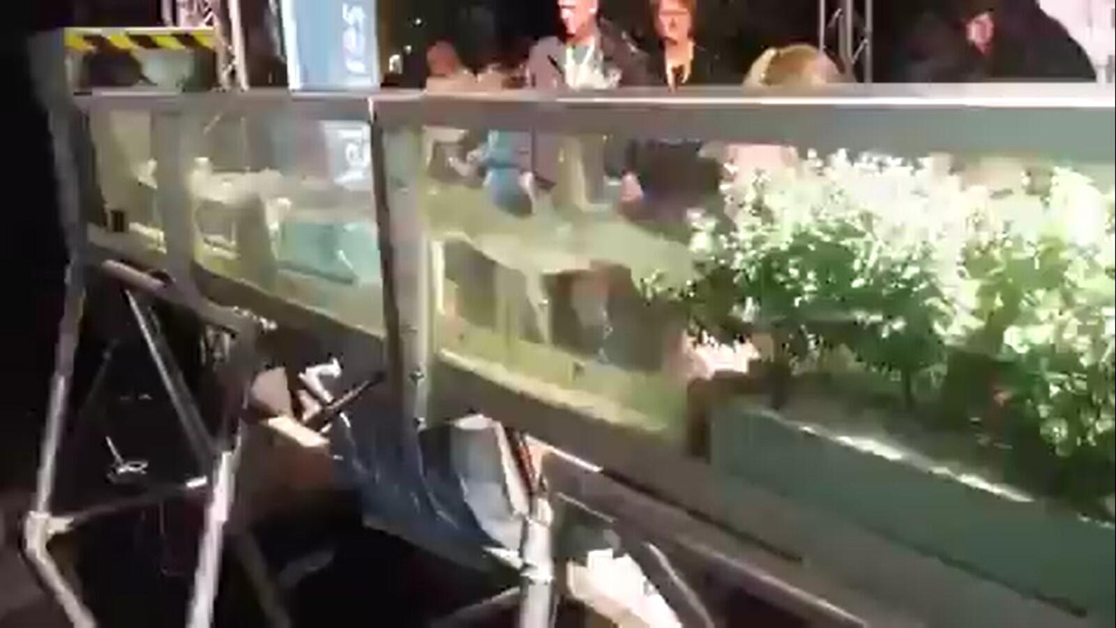 Watch: How mangroves become first line of defence against cyclones and ...