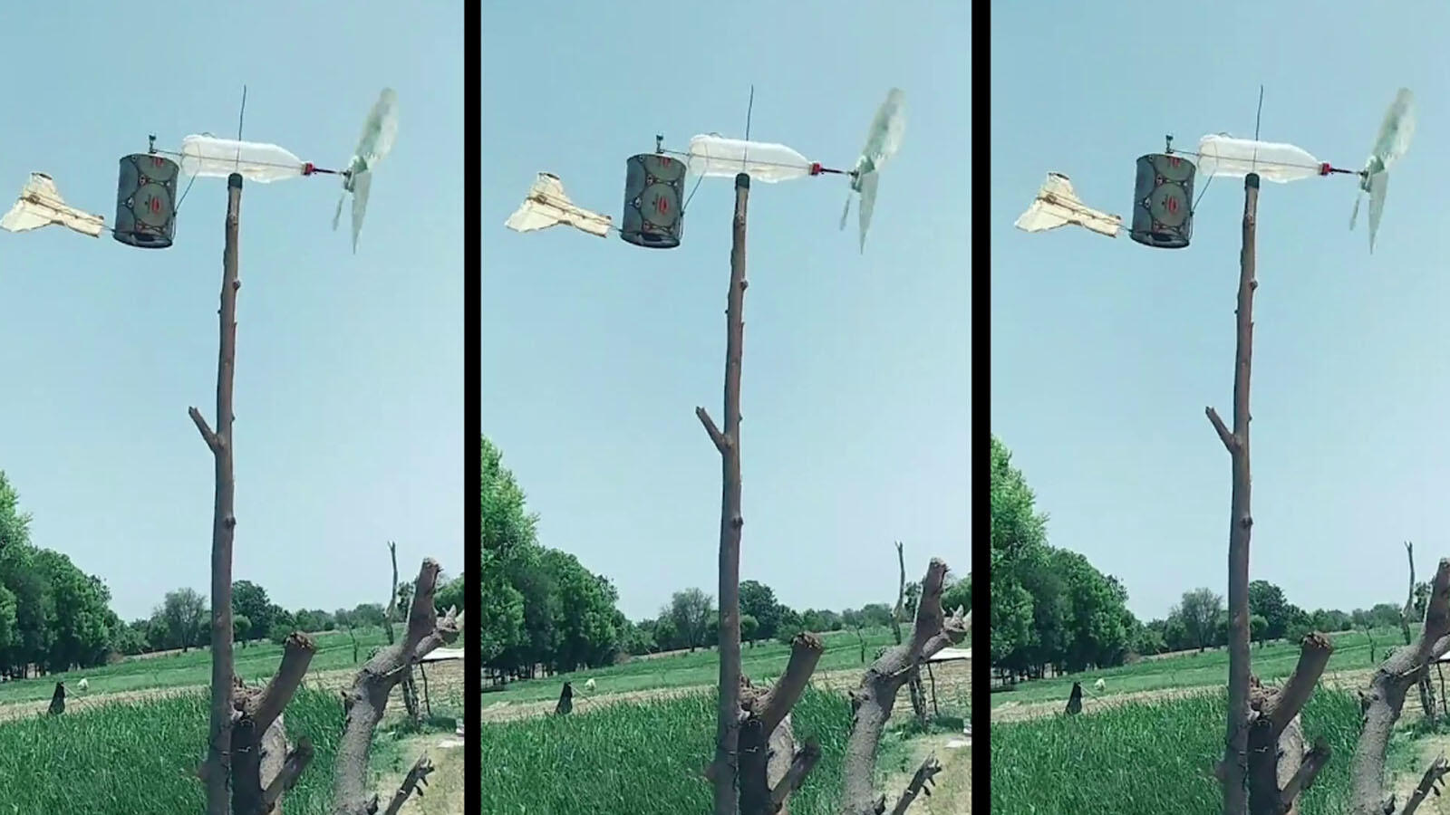 Innovative scarecrow uses wind energy to produce sound