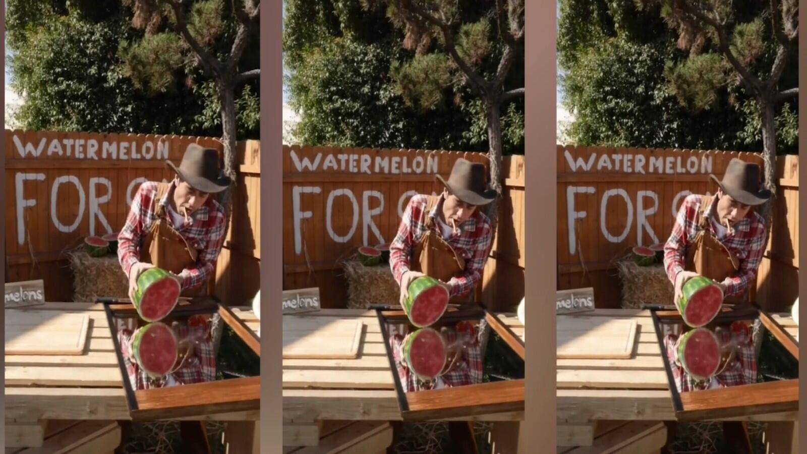 Melon magic: This trick ensures a never-ending supply of fruit in the ...