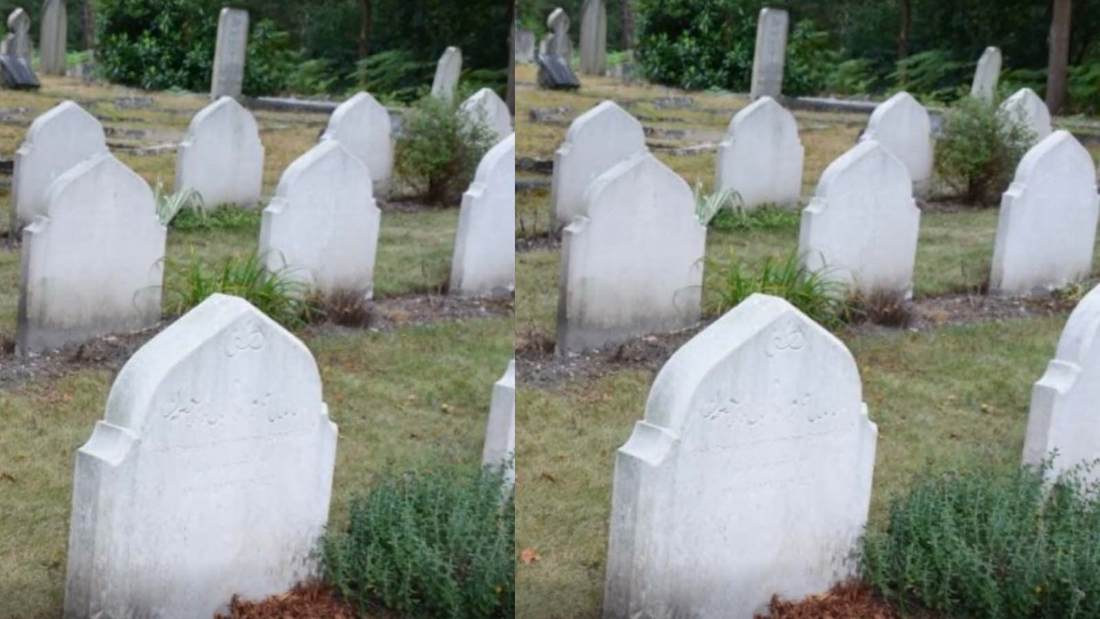 Telangana: Denied burial over Covid-19 fear, Muslim man finds place in ...