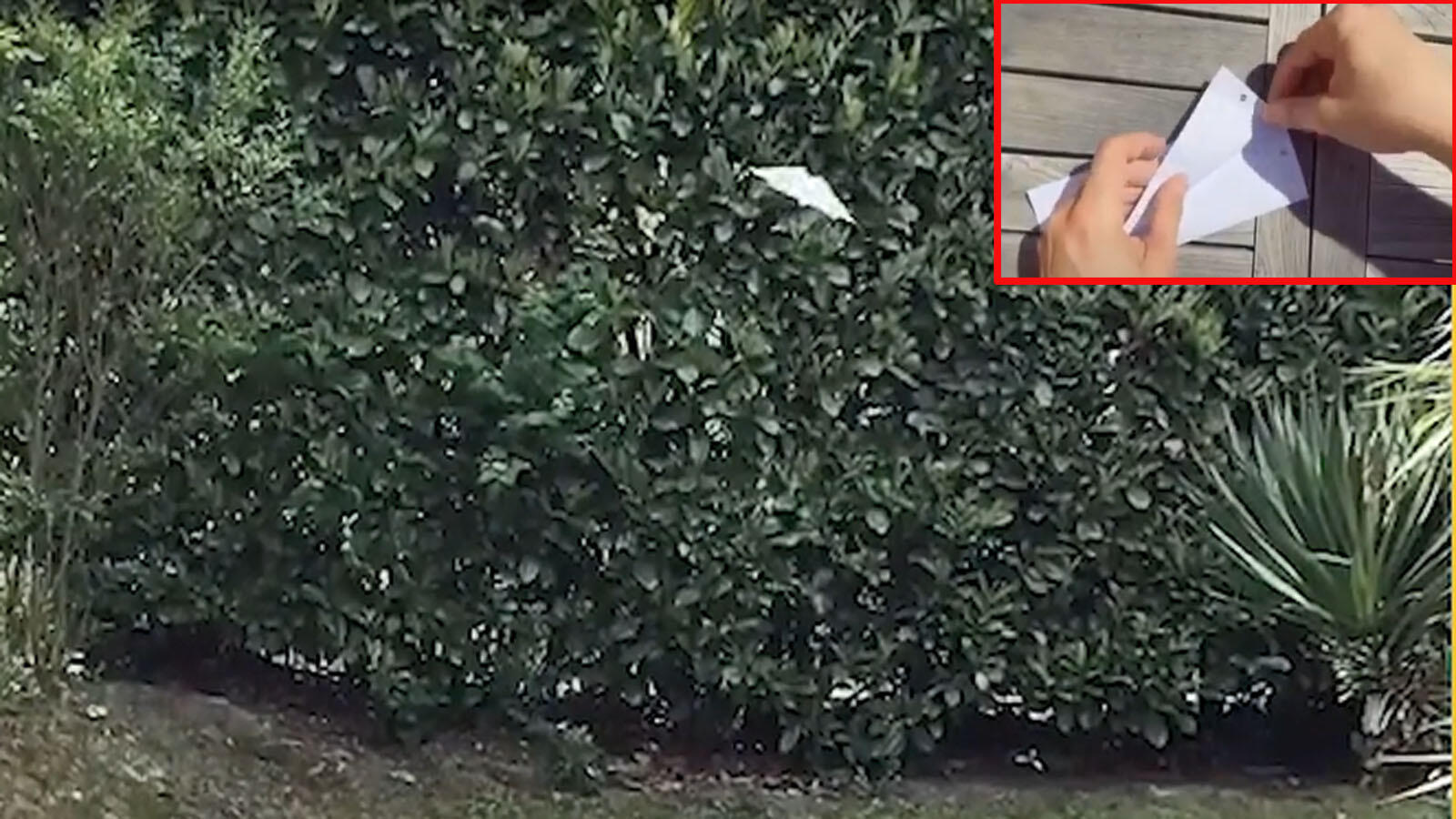 Make a bat paper plane in 60 seconds