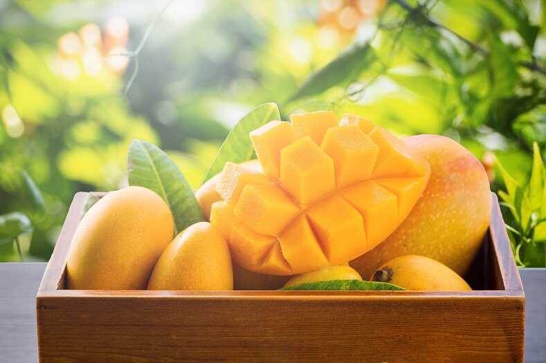 Try mango face packs for a glowing skin this season - Times of India