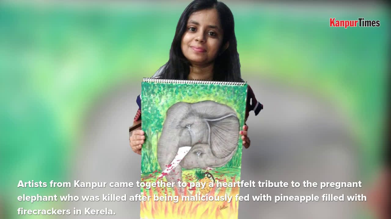 Kanpur artists pay a tribute to the elephant and its unborn baby
