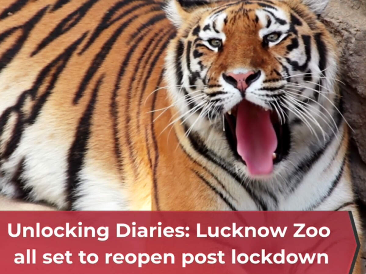 Unlocking Diaries: Lucknow Zoo all set to reopen post lockdown