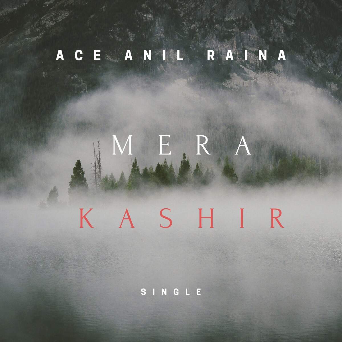 Kashmiri Pandit: Singer Ace Anil Raina croons his composition- Mera Kashir