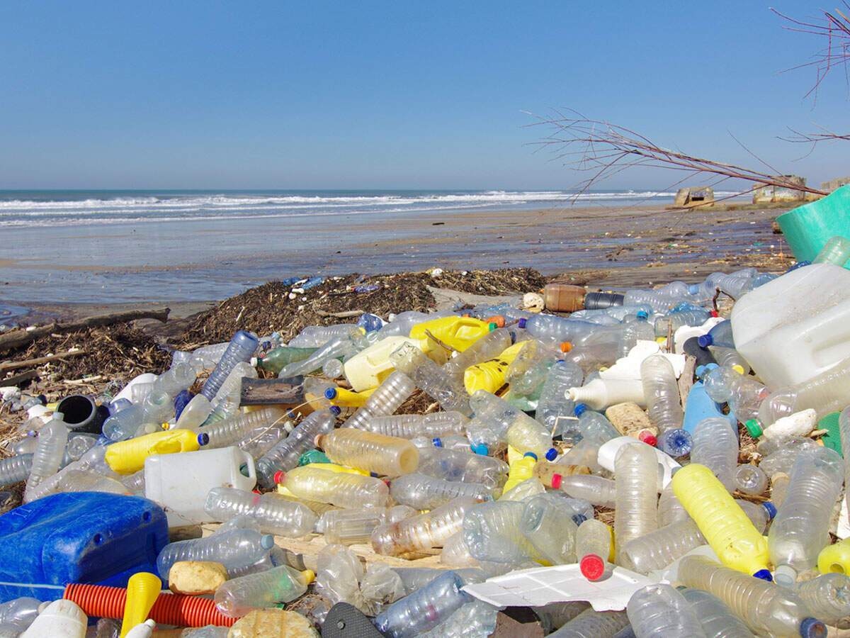 On World Oceans Day, here's what you can do to keep the oceans cleaner ...