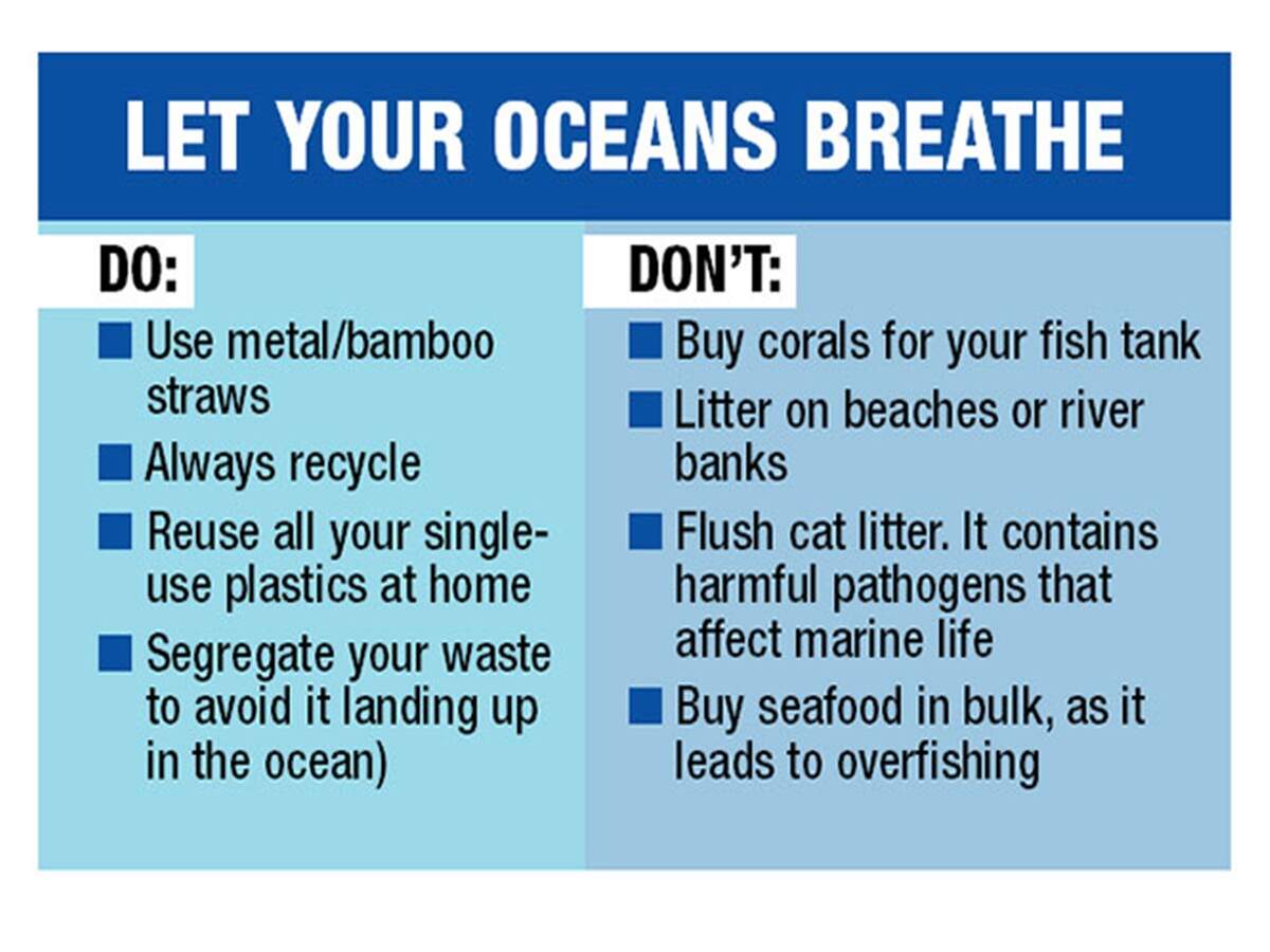 On World Oceans Day, here's what you can do to keep the oceans cleaner ...