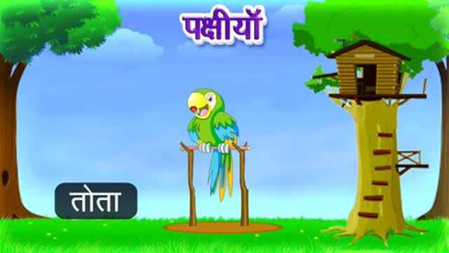 Most Popular 'Kids' Learning Video In Hindi - Types of Birds | Videos ...