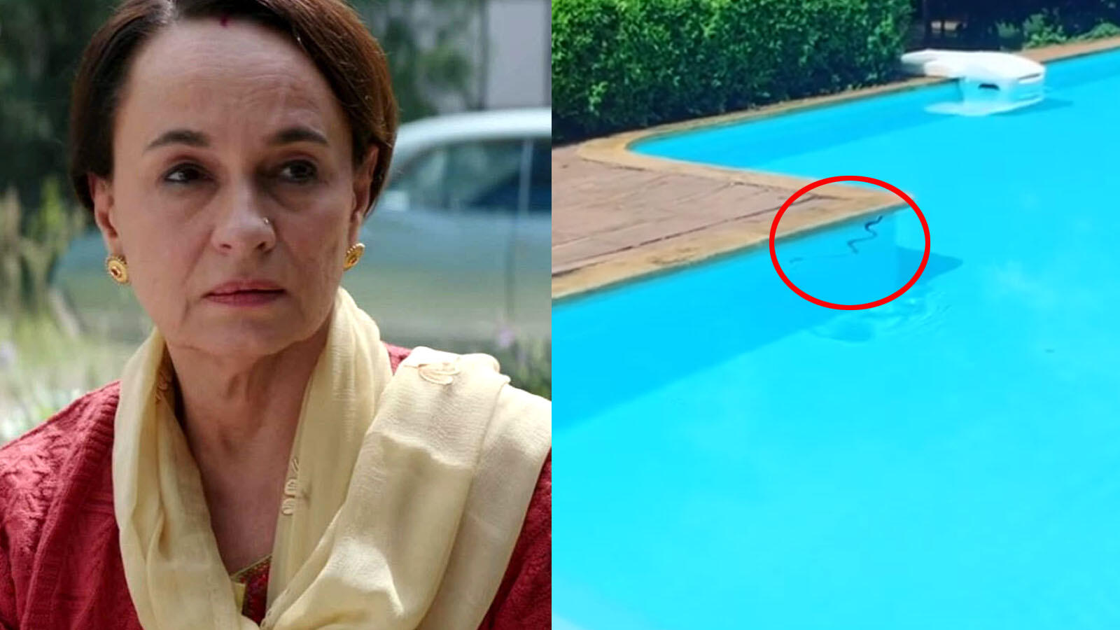 Watch: Alia Bhatt's mom Soni Razdan finds a snake in her swimming pool