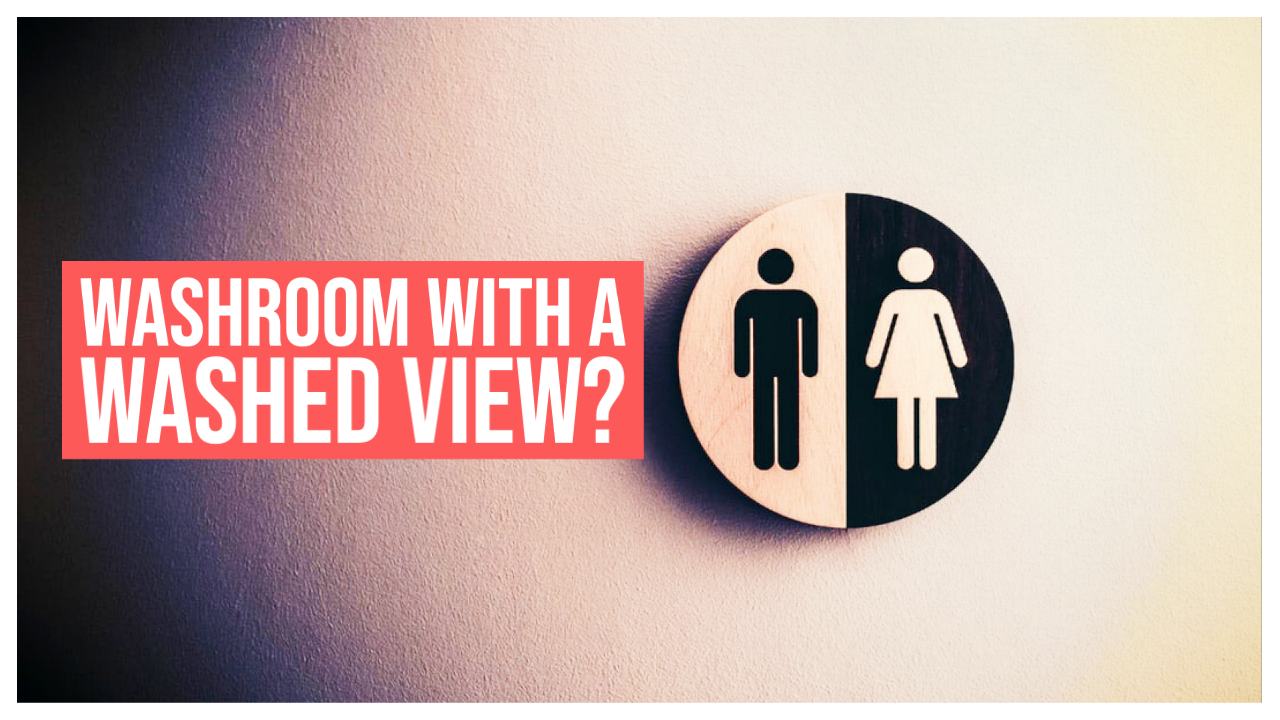 Washroom with a washed view?