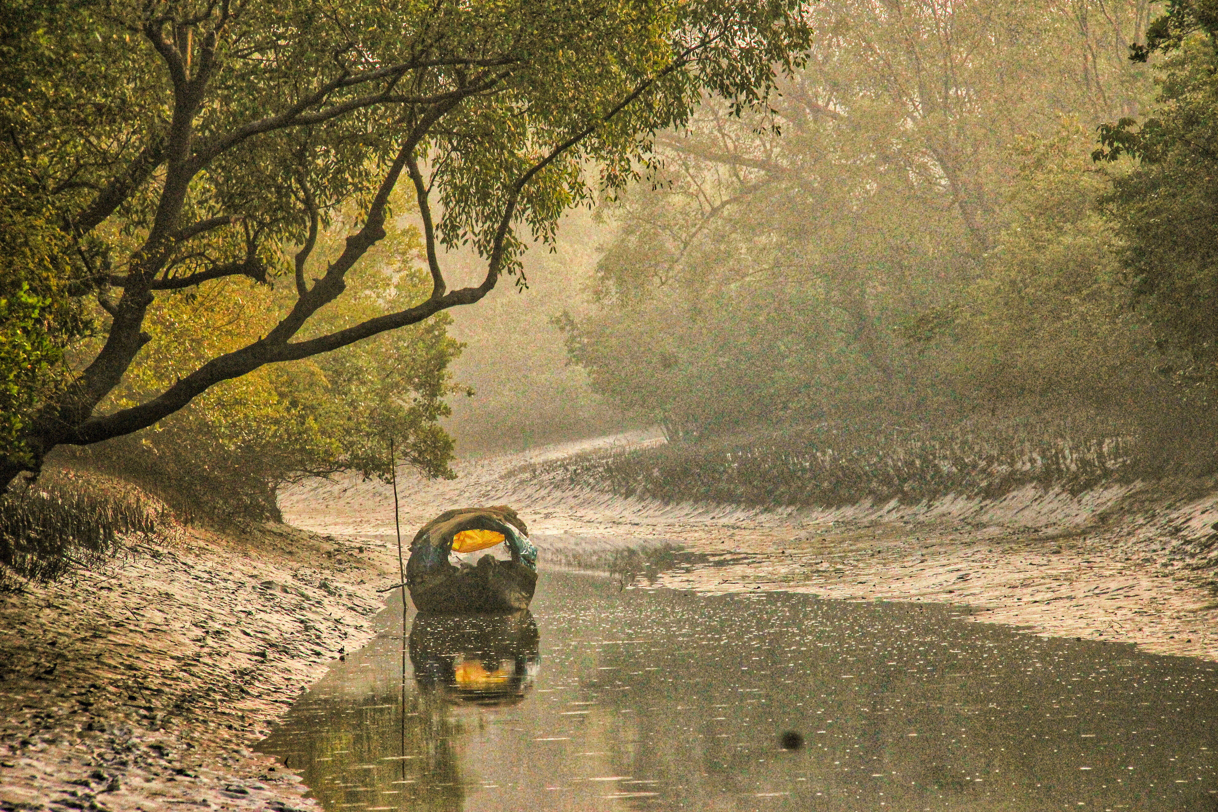 World Conservation Day—a sinking Sundarbans & the goddess of the forest ...