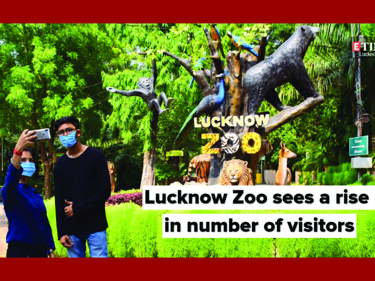 Lucknow Zoo sees a rise in number of visitors