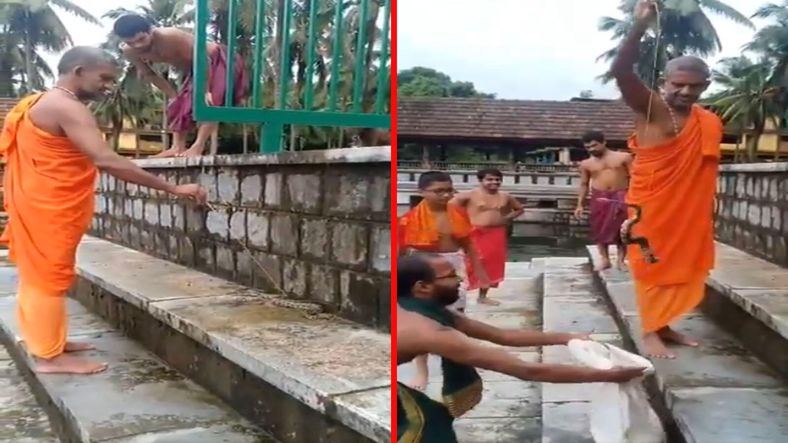 Monk technique: How to catch a snake