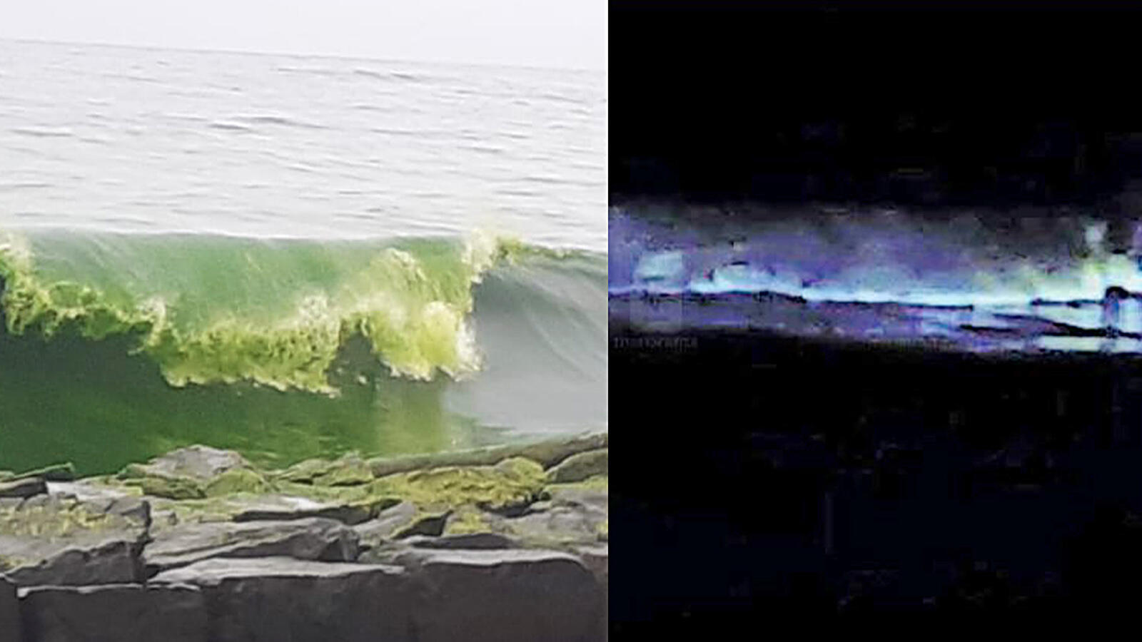 Kerala: Amusing phenomenon of green and blue waves at sea coast in Kochi