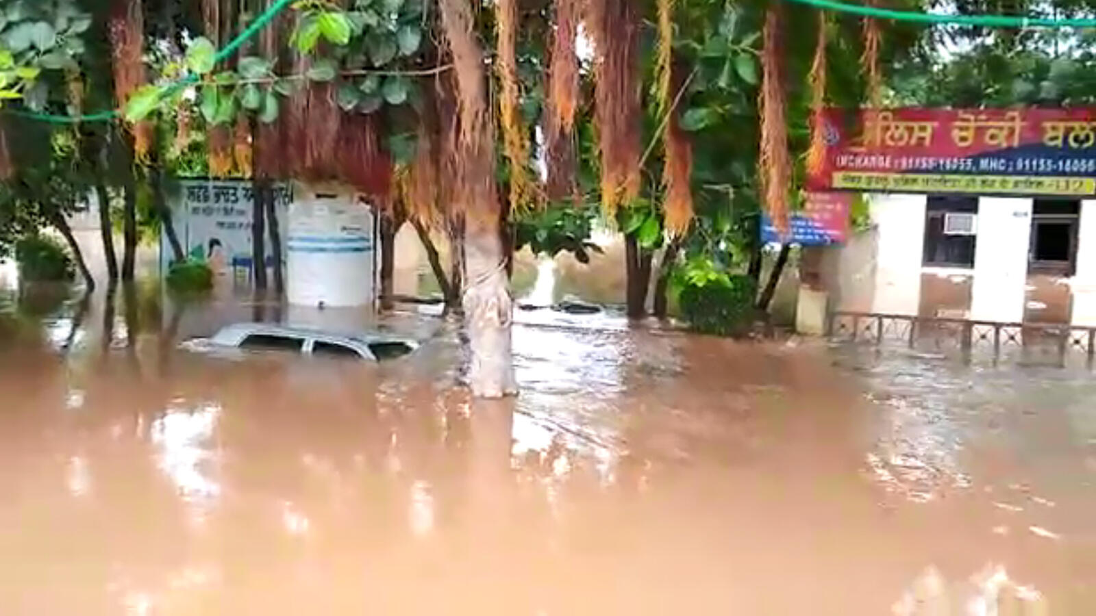 Watch: Mohali’s Baltana flooded after water released from Sukhna Lake