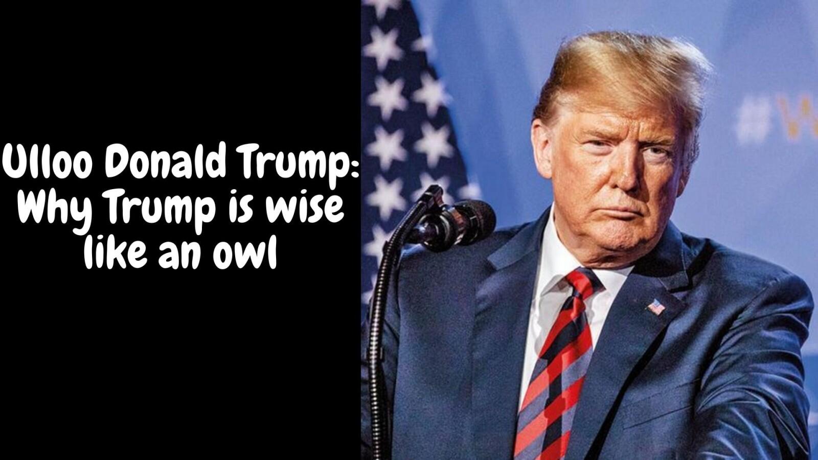 Ulloo Donald Trump: Why Trump is wise like an owl