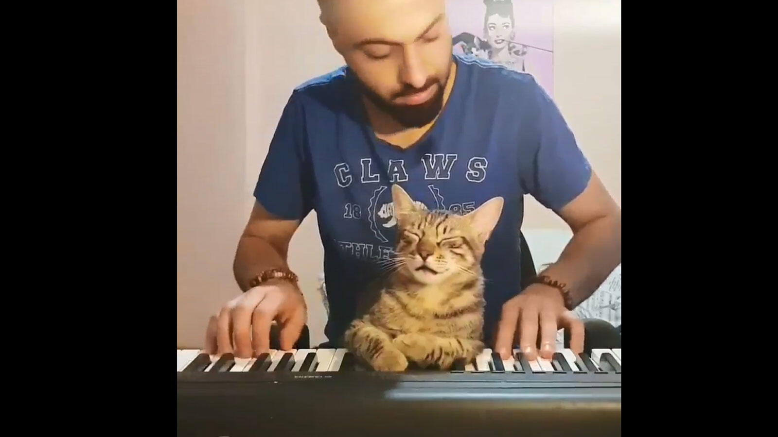 Adorable: Video of a cat swaying to music will make your day