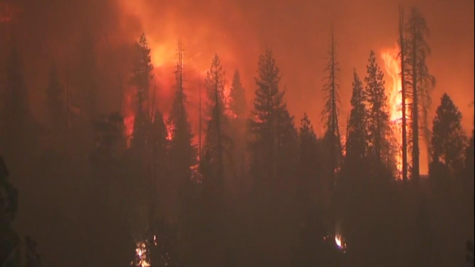 US: Helicopters rescue over 200 from California wildfires