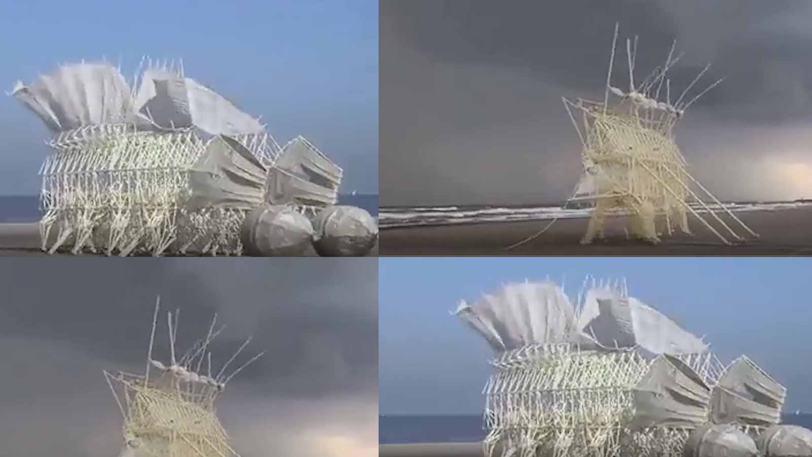 These 'beach animals' are simply mind blowing