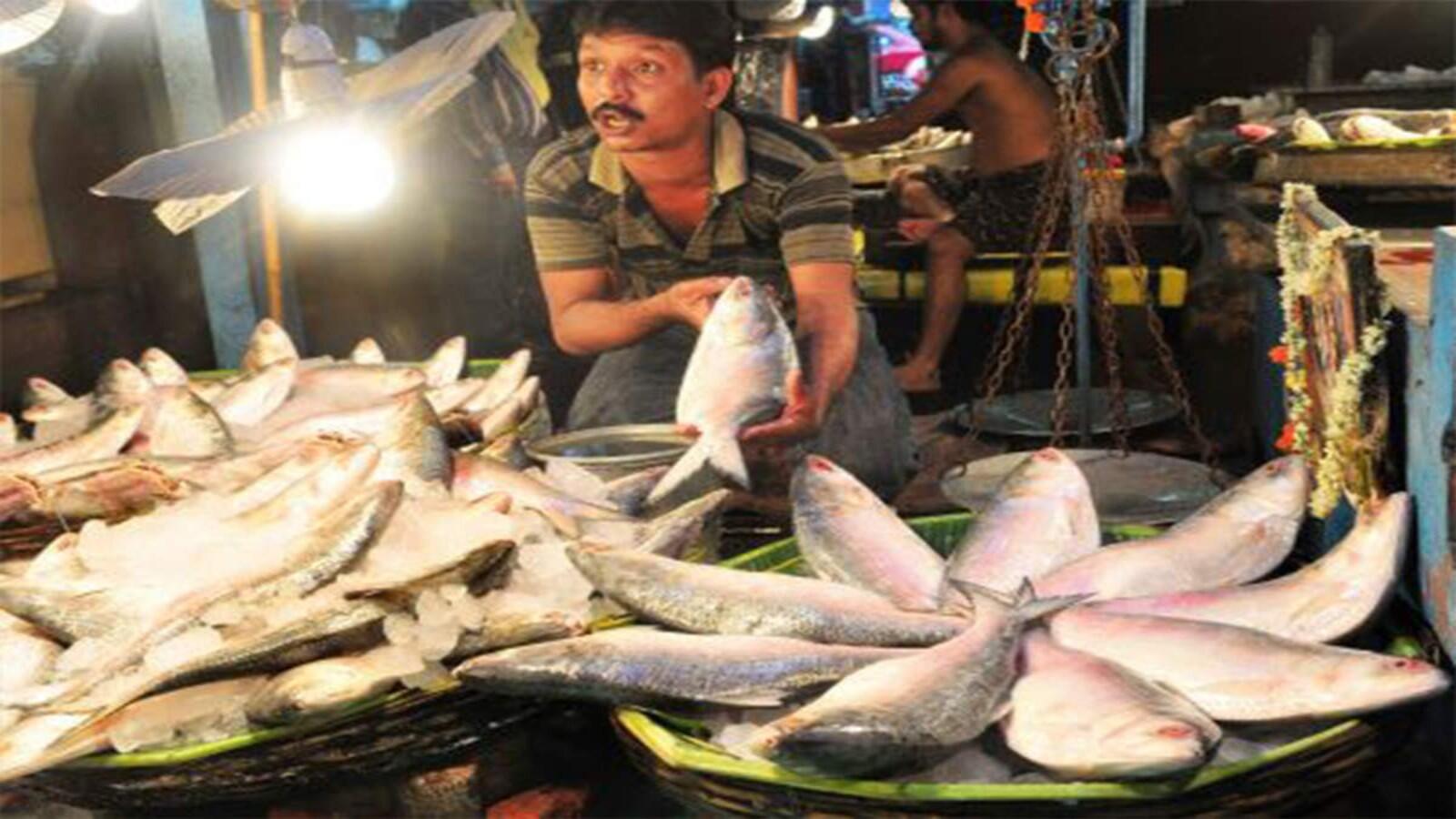 Hilsa diplomacy: 1,450 tonnes of hilsa on way to West Bengal as ...