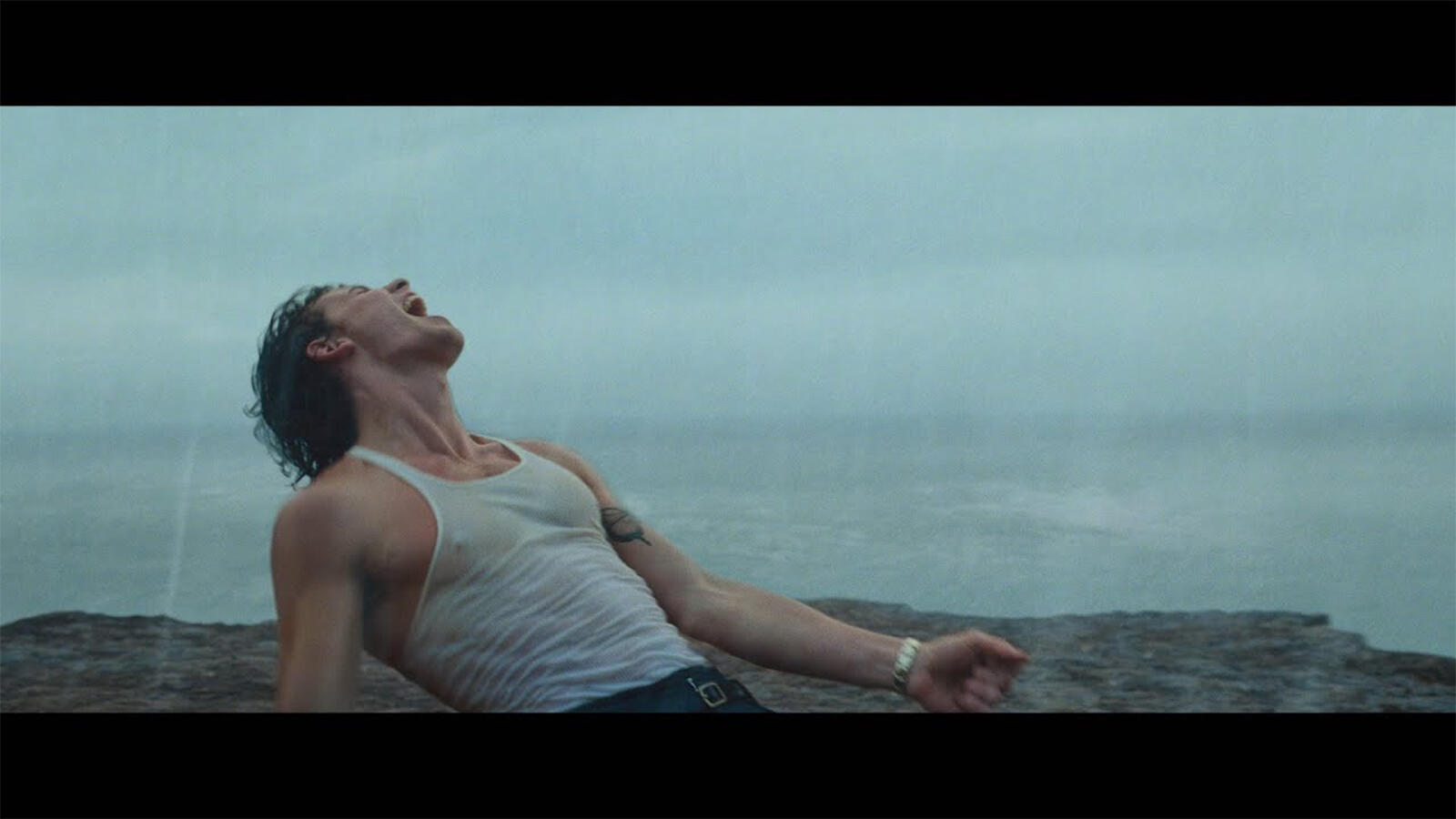 Watch Latest English Trending Music Video Song 'Wonder' Sung By Shawn ...