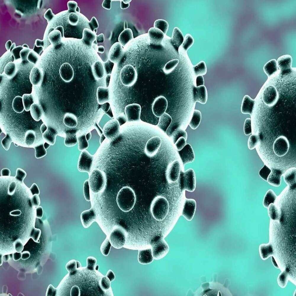 Covid-19 podcast: The real picture of the virus