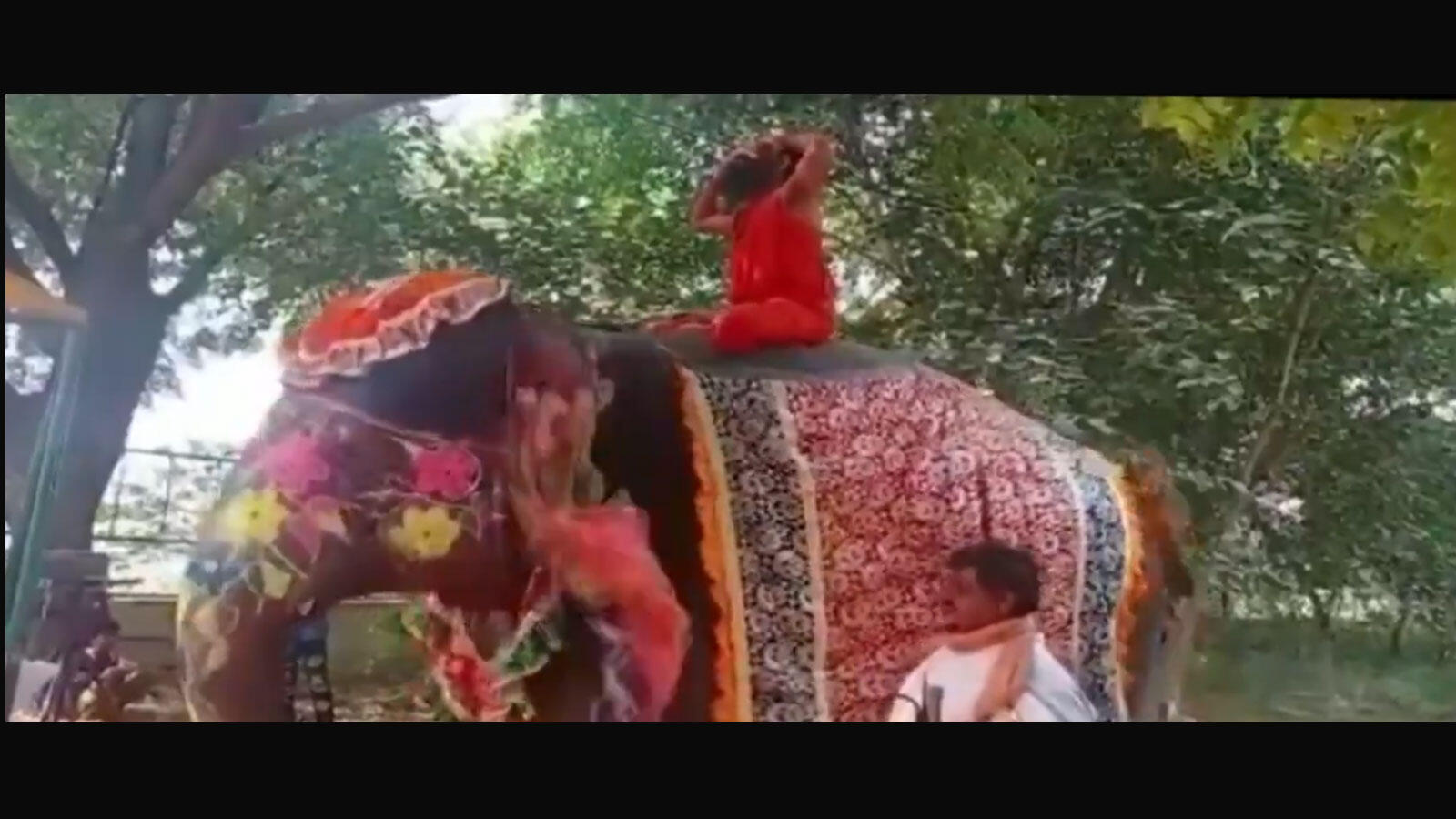 Watch: Baba Ramdev falls off elephant while performing yoga
